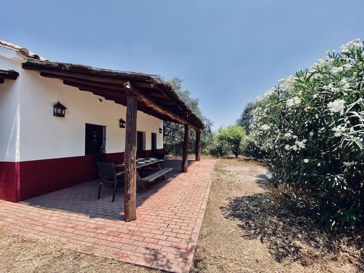 La Chocita - Aracena