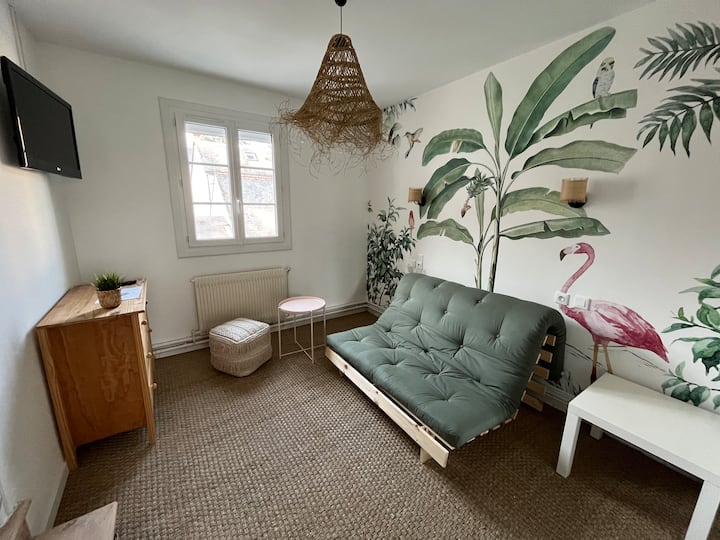 Beauval,chambre 2 Ou 4 Pers,salle De Douche Privée - Amboise