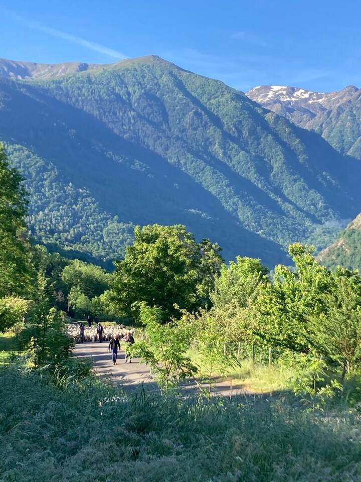 Charmante Petite Maison De Montagne - Ariège