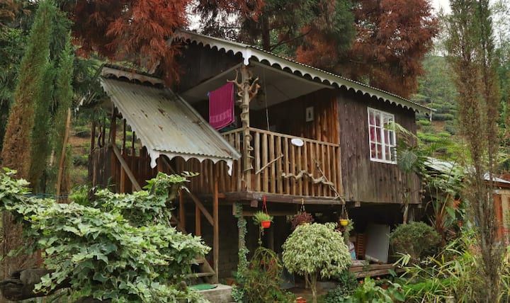 Luxurious Escape In The Heart Of Tea Estate - Mirik