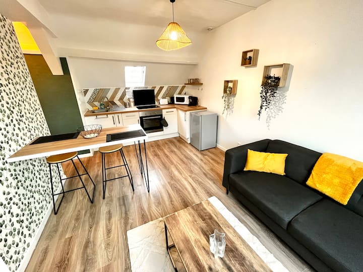 Agréable Appartement 2 Pièces De 35m2 - La Chapelle-Saint-Mesmin