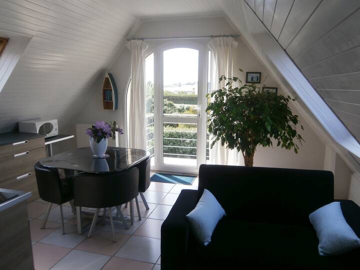 Roscoff:alizé Charmant Gite 2 Personnes +Vélos - Roscoff