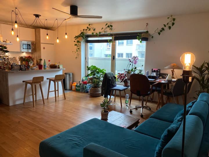 Appartement 62 M2 Père Lachaise - Paris