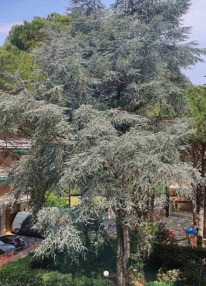 Casa Rosa - 3 Bdrms - 5 Mins Walk From The Beach - Santa Margherita Ligure