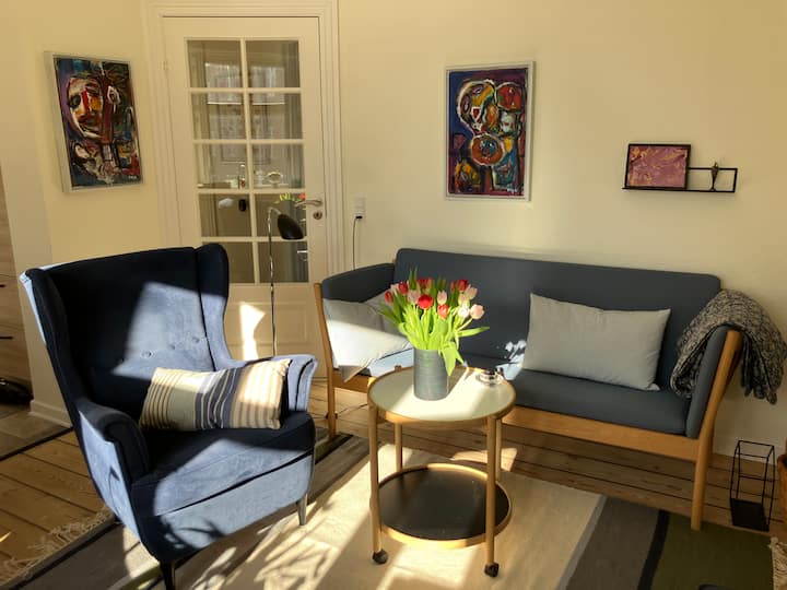 Dejlig Lejlighed I Odense C - Odense