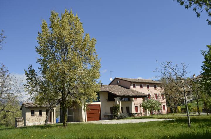 Appartamento Immerso Nel Verde N 2 - Asolo