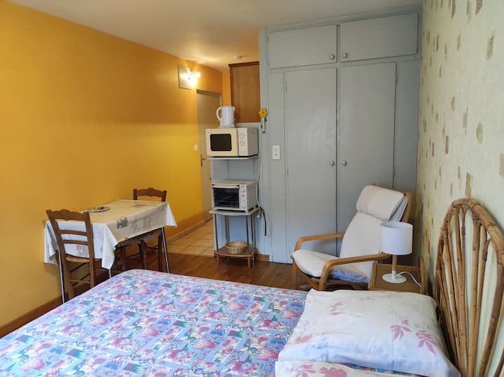 L'alexandra - 2 Studios Au Rdc - Bourbonne-les-Bains