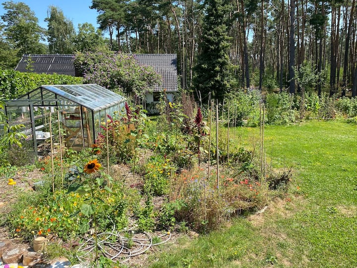 Gezinswoning Met Moestuin En Bos - Dessel