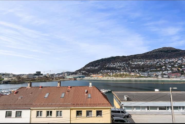 Flott Leilighet, Med Kort Avstand Til Sentrum - Bergen