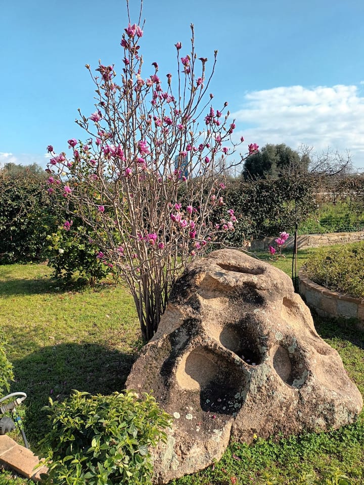 Casa  Vicinissima Al Mare  Wifi - Santa Maria Navarrese
