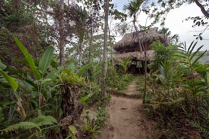 Jungle Hut Close To Tayrona - Parque Nacional Natural Tayrona