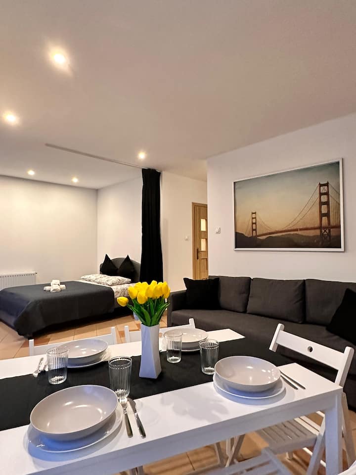 K1_2_kościuszki Fiesta Apartment 2baths/2 Kitchens - 카토비세