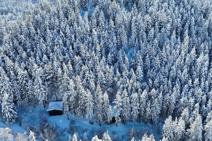 Adventurous Mountain Escape - Utah