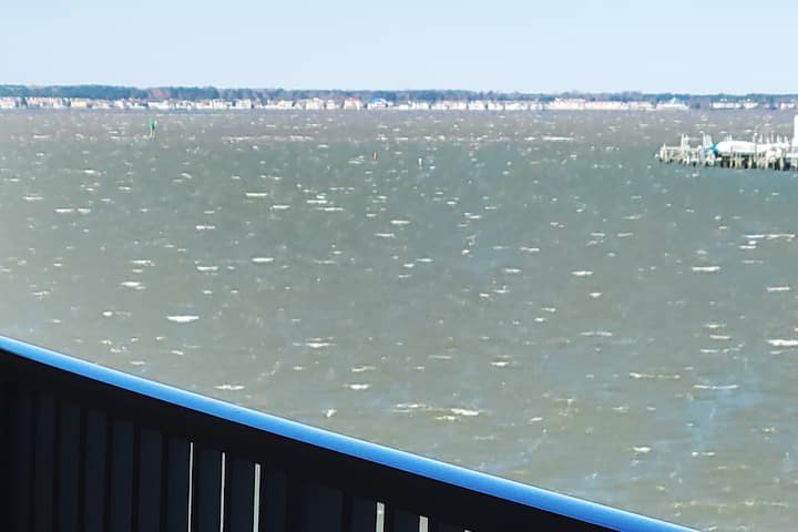 Bayside/potb 207/pool/pet Friendly/sleeps 6-8 - Ocean City Beach, MD