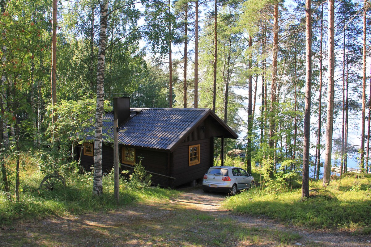 An atmospheric sauna room in Koitere - Cabins for Rent in Ilomantsi ...