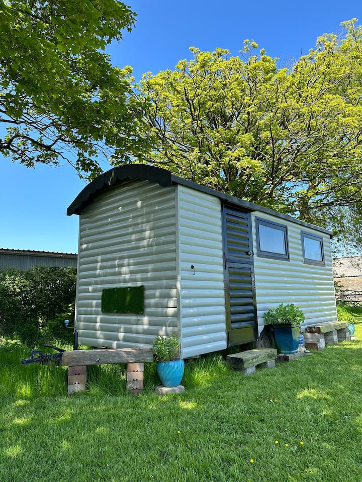 Off-grid Shepherds Hut - Pembrokeshire