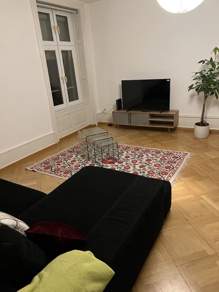 Magnifique Logement Centre Ville - Biel