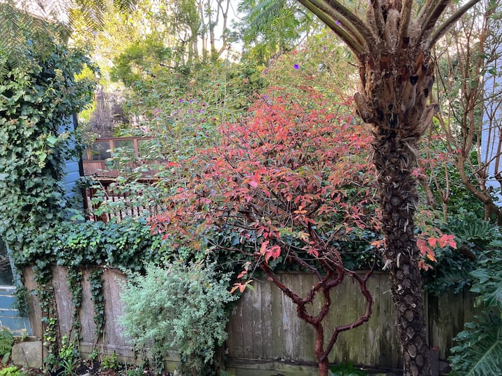 Greenwich Sanctuary - San Francisco, CA