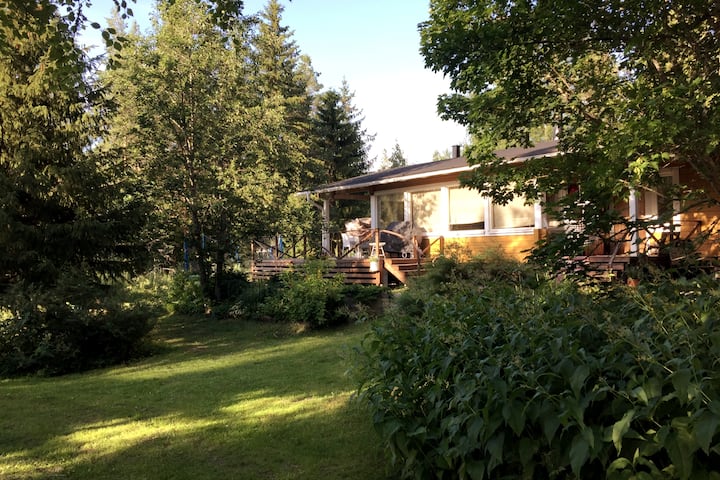 Luonnon Rauhaa Keskellä Metsää - Punkalaidun