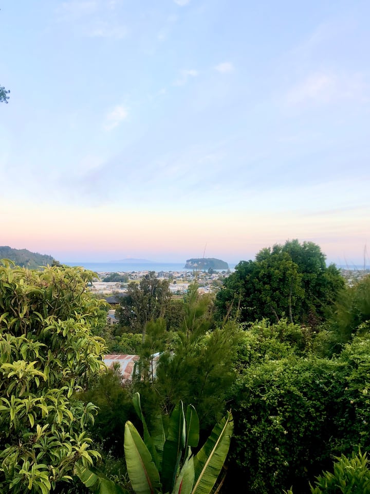 Tui Manor - Whangamatā