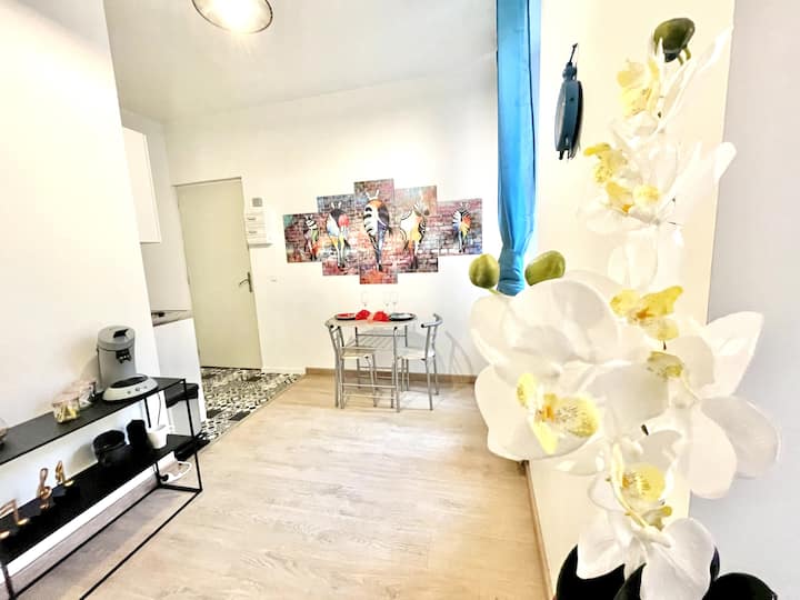 Chavalliaud 3 Petit Cocon Calme Et Cozy - Reims