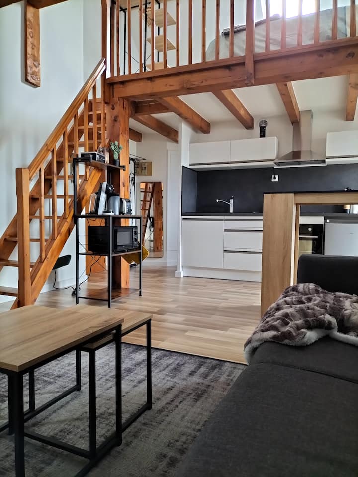 Coquet T1 Bis, Parking Privé, Proche Vieille Ville - Annecy