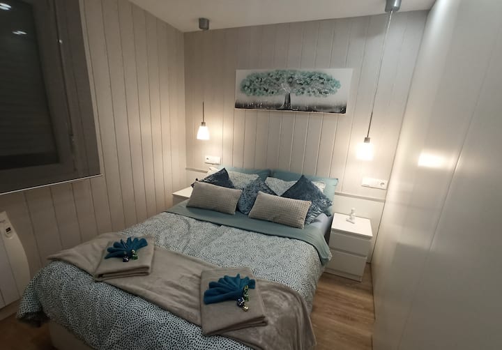 Apartamento De Colon - Gijón