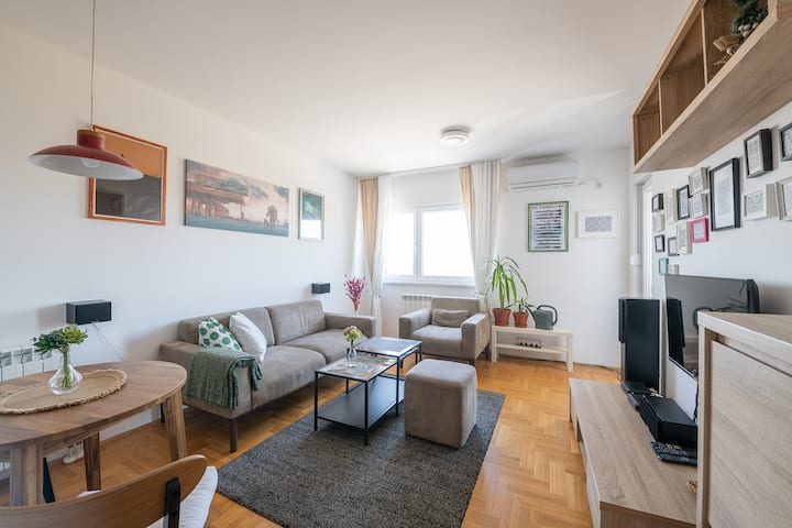 The Shelter - Belgrado