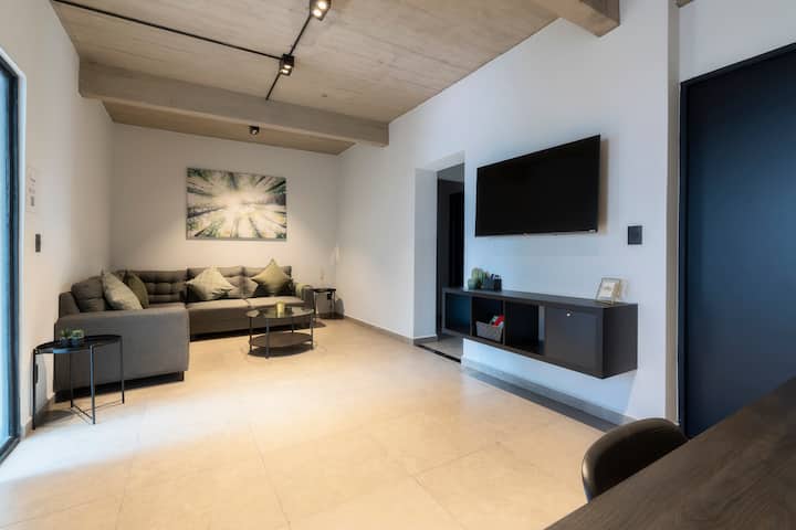 P302 Zocalo 3bdrm 2bath Rooftop Ac - Mexico State