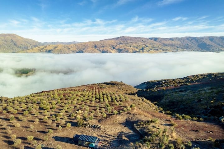 Haurapa Purepod - Cromwell