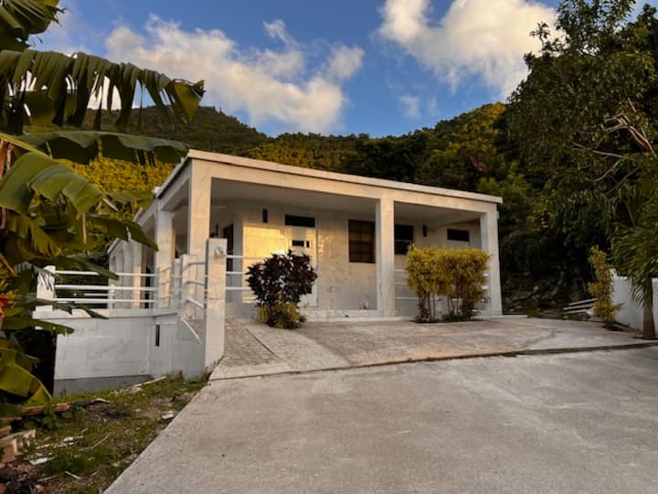 "Top View: Your Bvi Escape" - East End