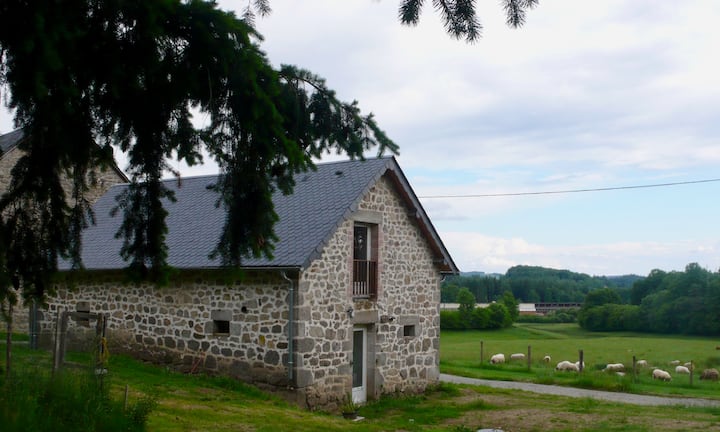 Combressol - Gîte Du Naudeix - Meymac