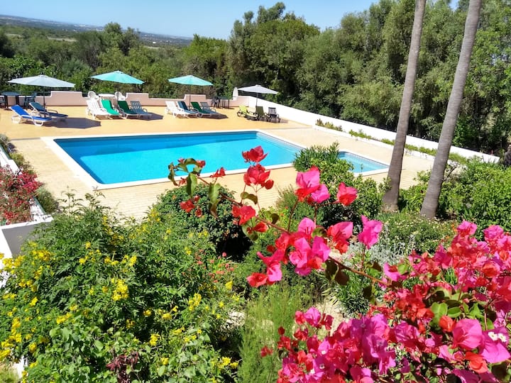 One Bedroom Apartment Nr 1 - Saint-Barthélemy