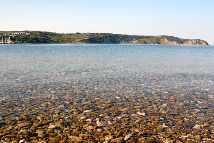 Apartma Delfin - Izola