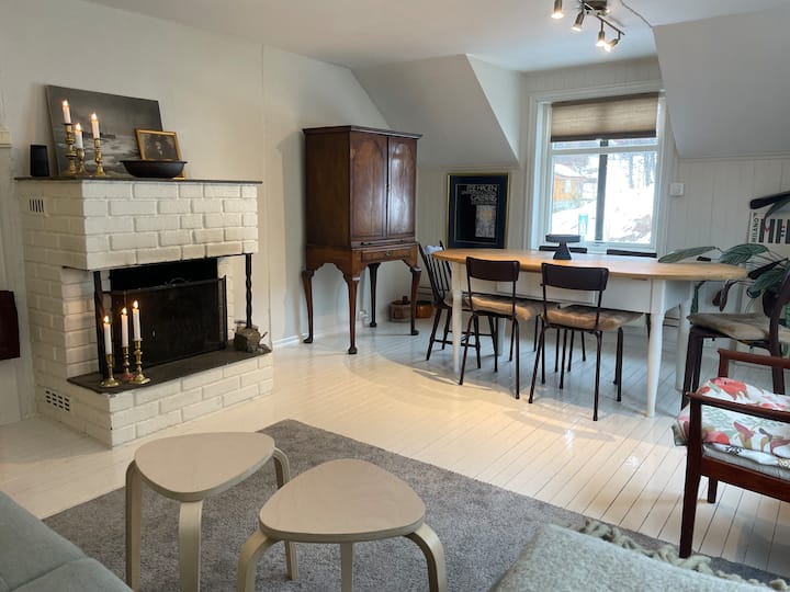 Bright, Clean, And Cozy Bakklandet Flat - Trondheim