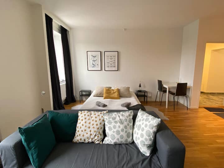 Spacious Studio At Telefonplan - Stockholm