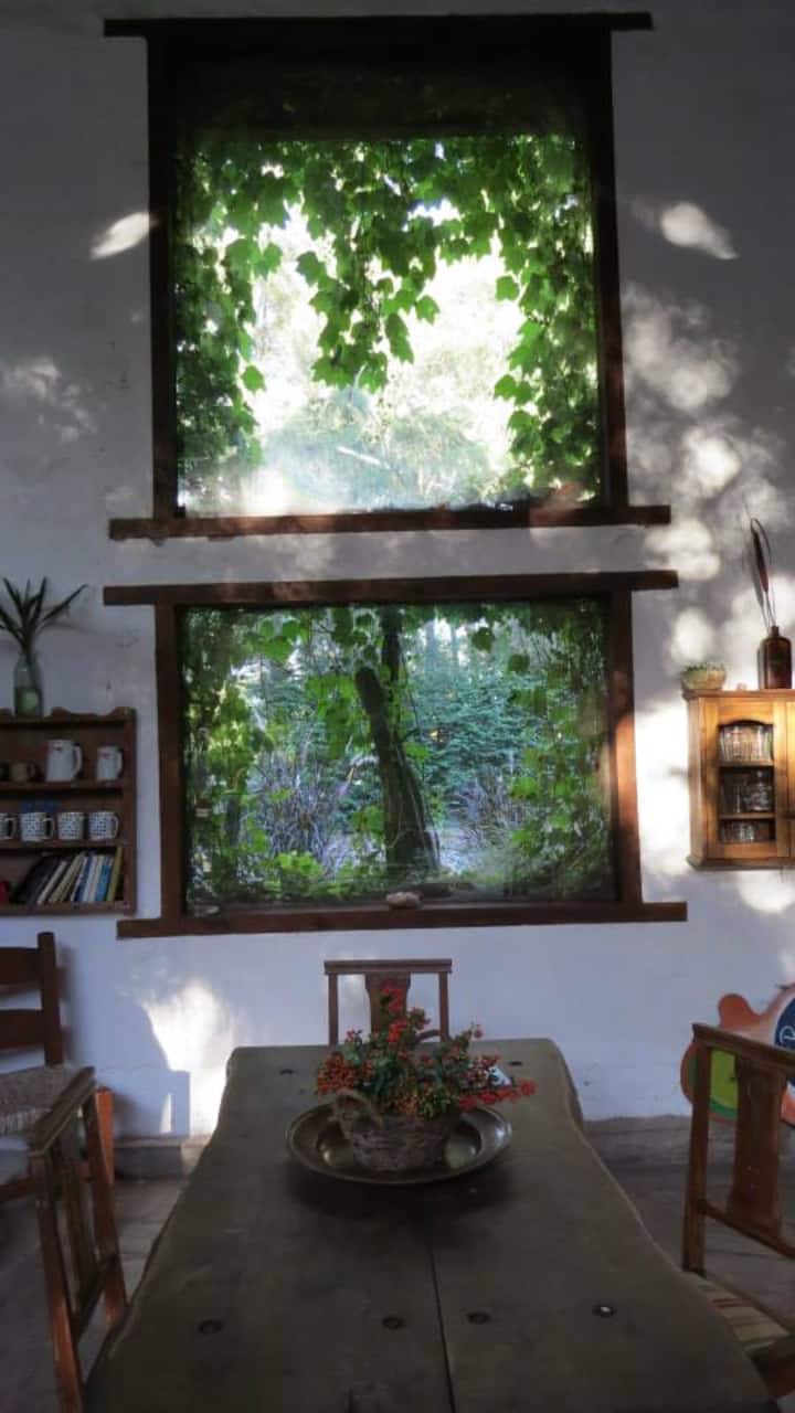 Minicasa En Un Bosque - Maldonado Department