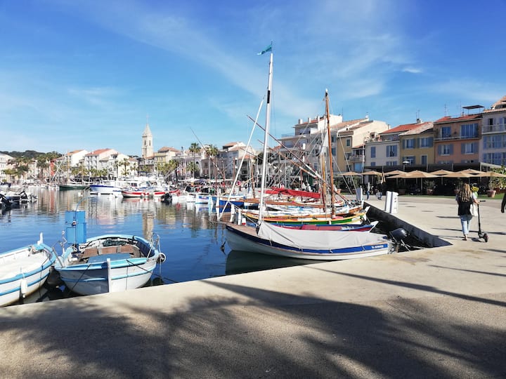 Sanary Sur Mer/ Calme Et Agréable Deux Pièces - Sanary-sur-Mer