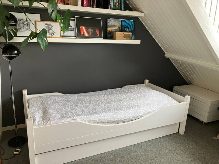 Kamer In Sfeervolle Wijk - Eindhoven