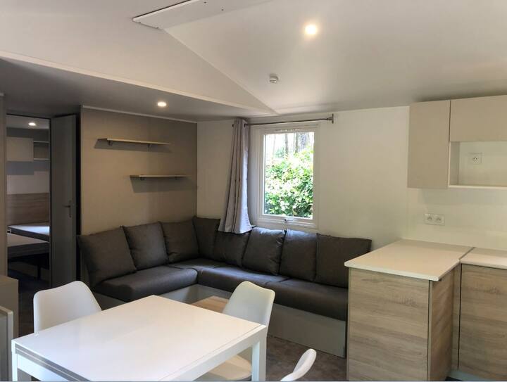 Premium-goudhaantje 6p - Lille, Belgium