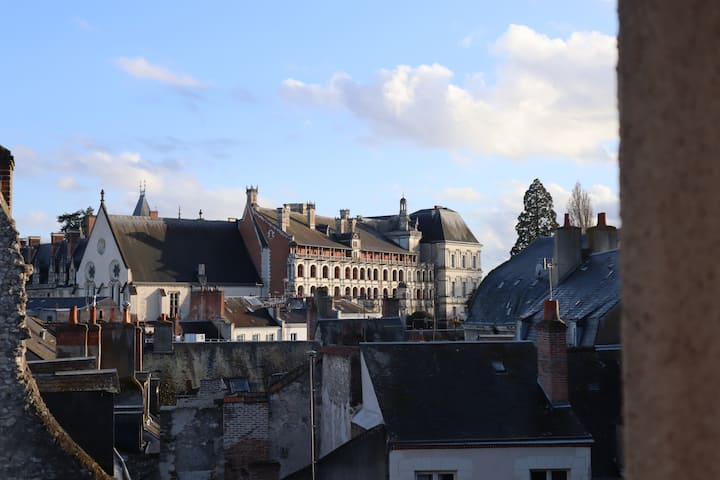 Coup De Cœur Assuré  : Vue Château + Atypique - Blois