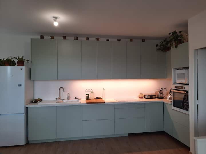 Appartement Lumineux Au Centre De Nantes - Vertou