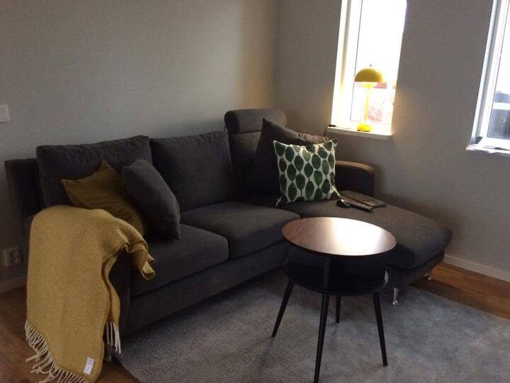 Modern Villa W Parking Near Stockholm & Nature - Stockholm