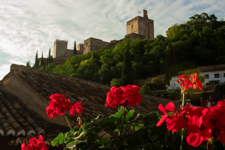 Alhambra Terrace, Albaicín - Granada