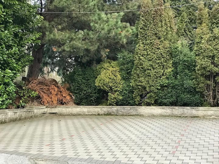 Two-bedroom Suite - Burnaby