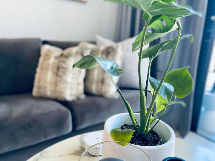 Hermosa - 2304 - 16 On Bree - Kapstadt