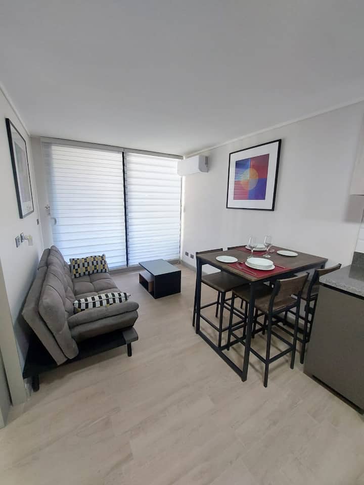 Departamento 2 En Santiago Centro - Providencia