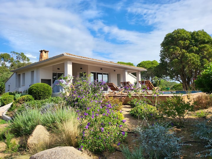 Maison 4 Chambres Avec Piscine - Figari