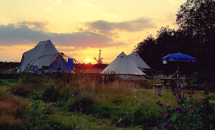 Glamping Van Modest & Kamiel - Oudenaarde