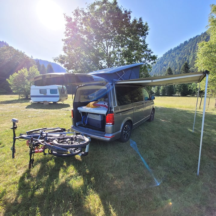 Le Vw California Au Camping - Munster